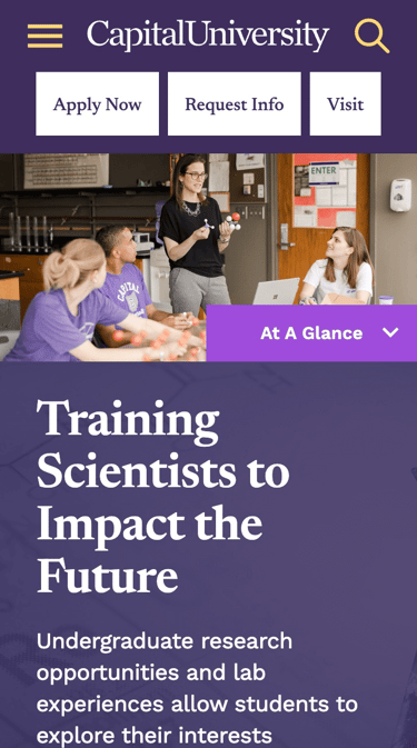 Umbraco CMS Migration | Capital University